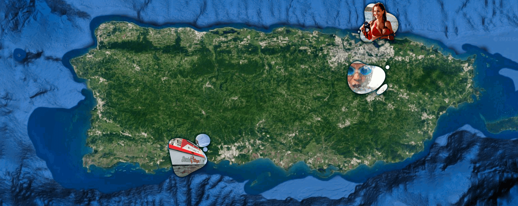 Scuba Dogs – Diver's Best Friend!