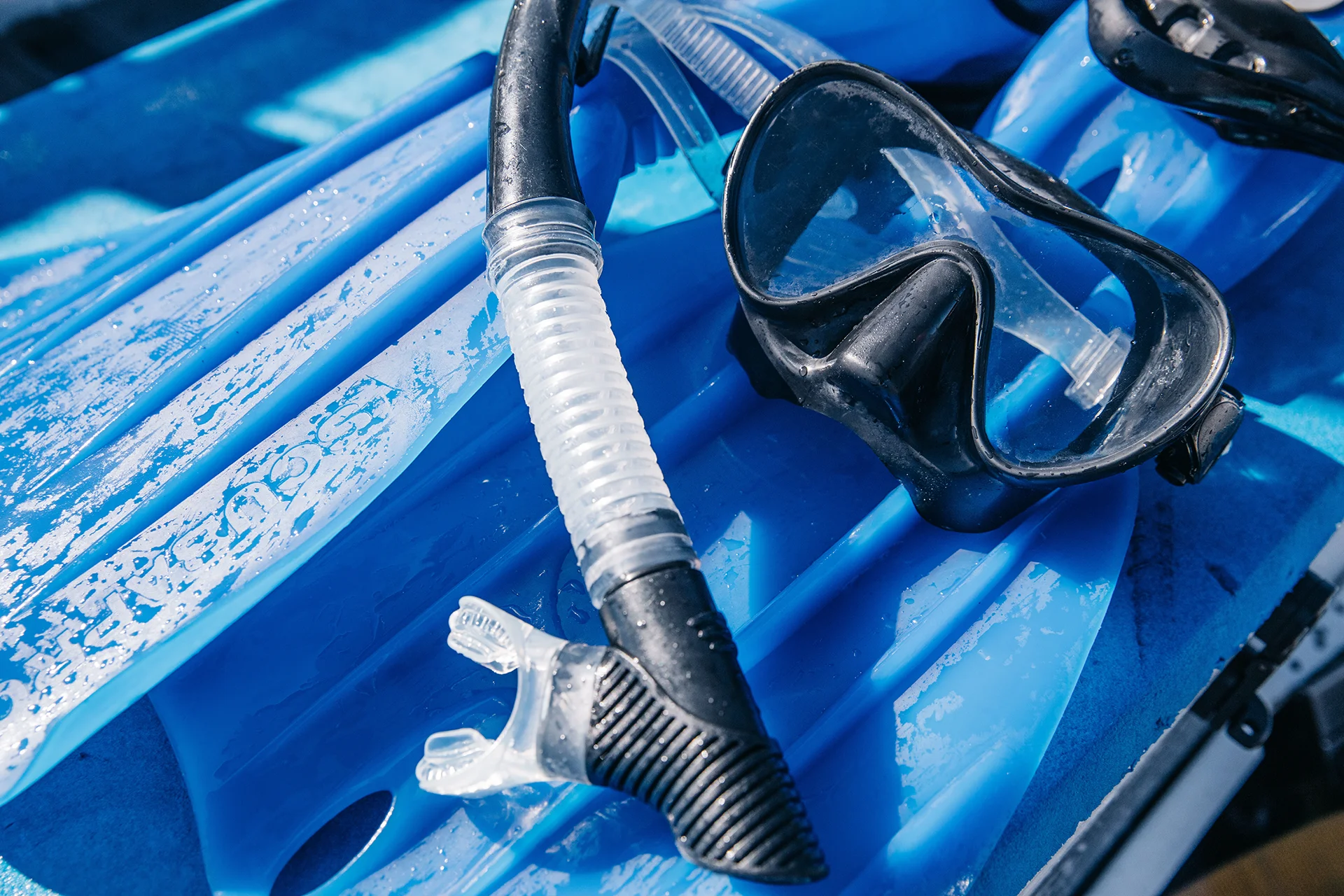 Top Brands Gear Sale - Scuba Dogs