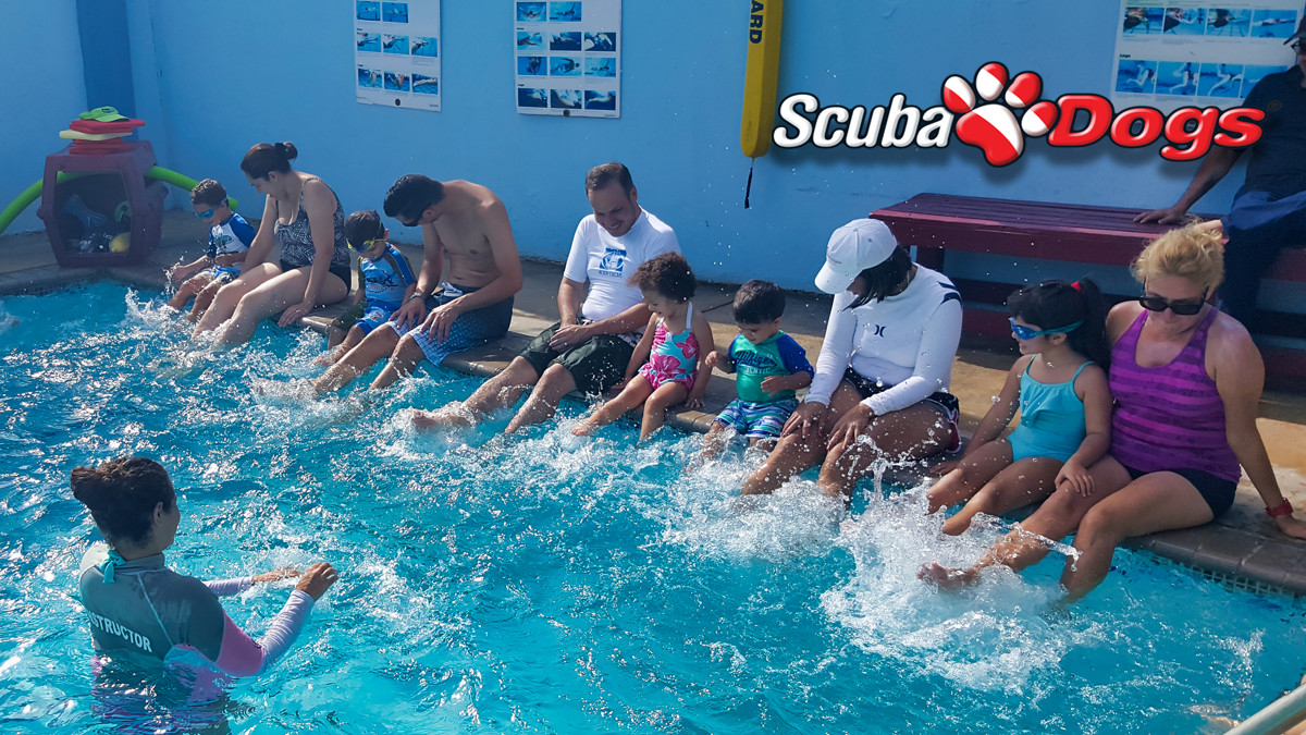 Swim Lessons - Scuba Dogs
