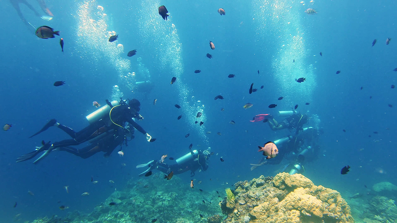 "Stay and Dive" Special Offer - Scuba Dogs